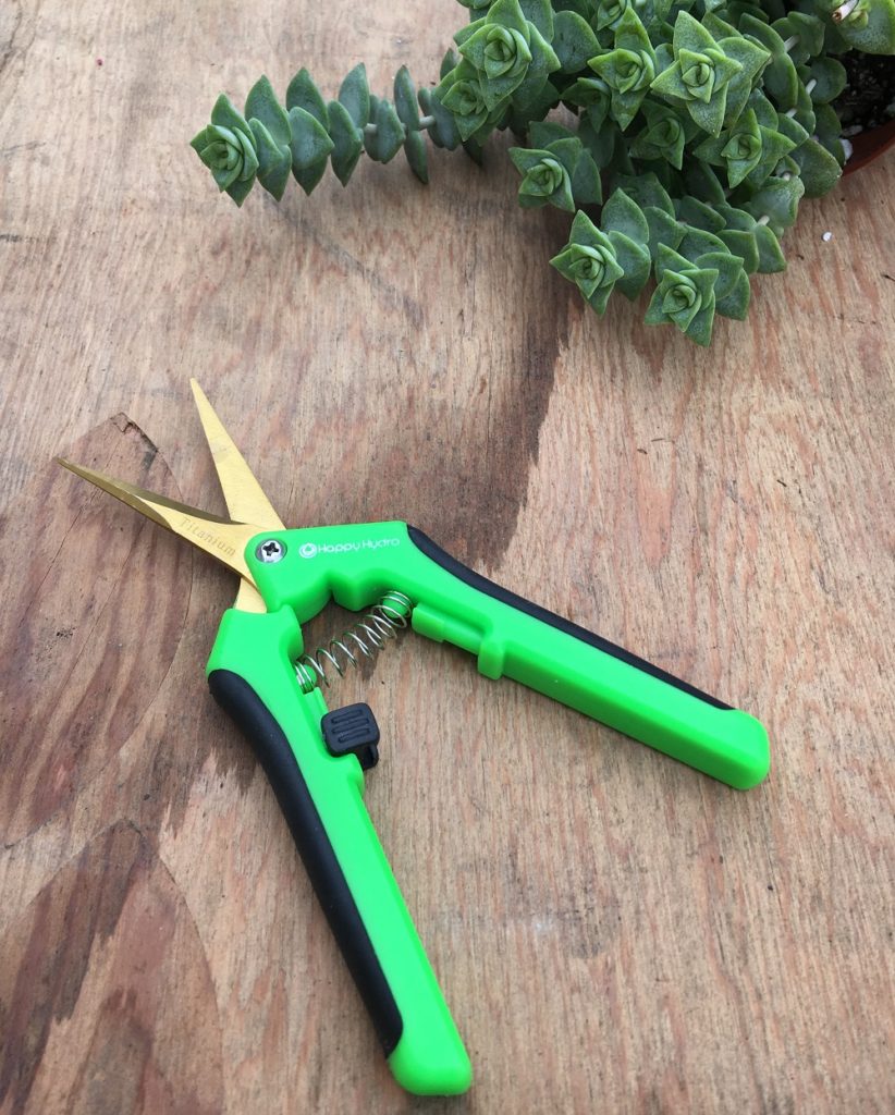 10 Great Gifts for Succulent Lovers - Holiday Gift Guide! | The ...