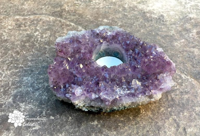 DIY Succulent Planter ~ Geode Planters | The Succulent Eclectic