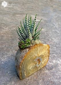 DIY Succulent Planter ~ Geode Planters | The Succulent Eclectic