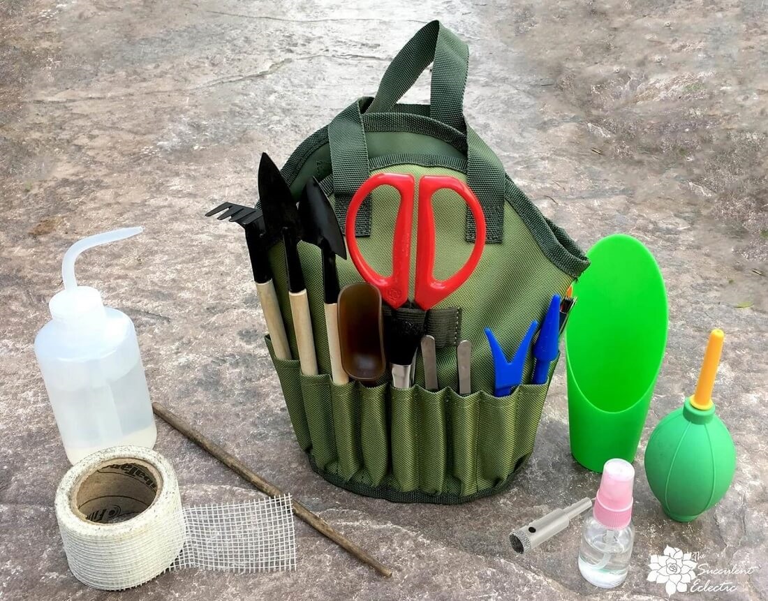 My Favorite Succulent Tools! | The Succulent Eclectic