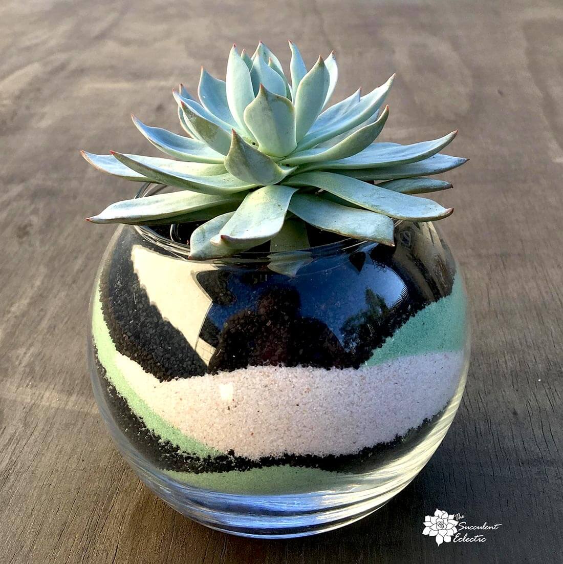 Choosing The Best Succulent Pots | The Succulent Eclectic