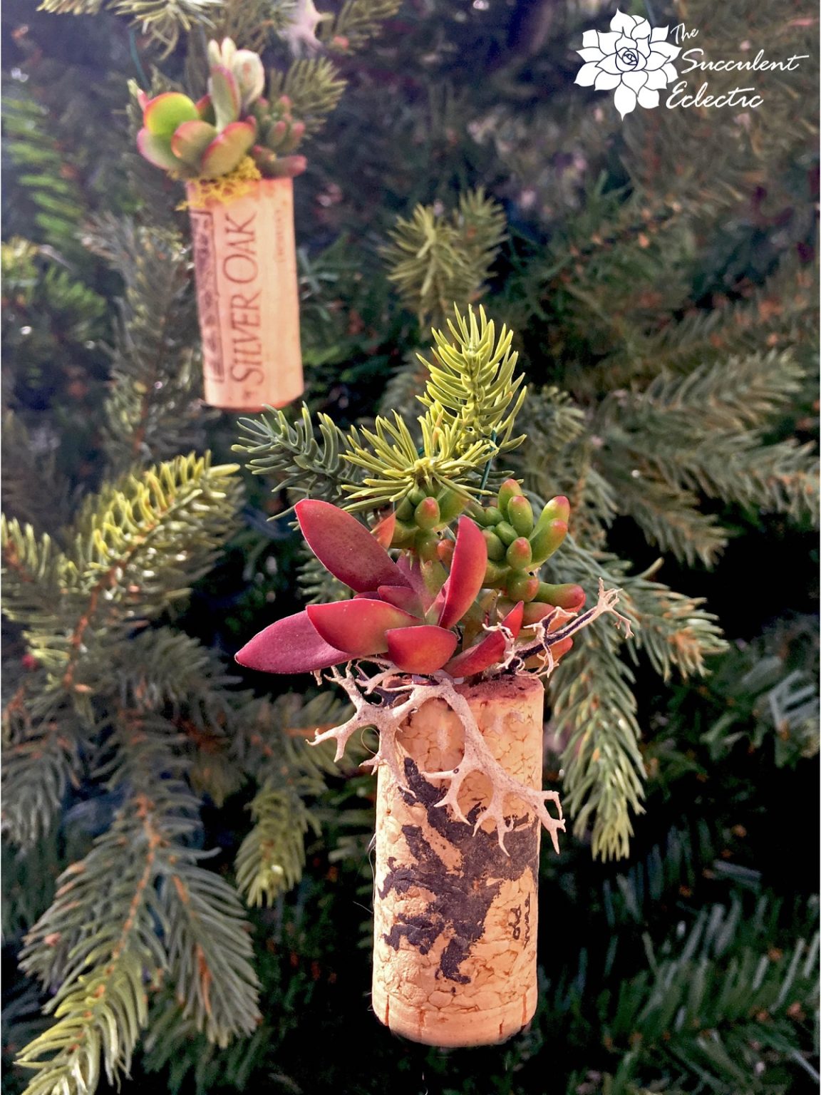 DIY Wine Cork Succulent Magnet Mini Planters! | The Succulent Eclectic