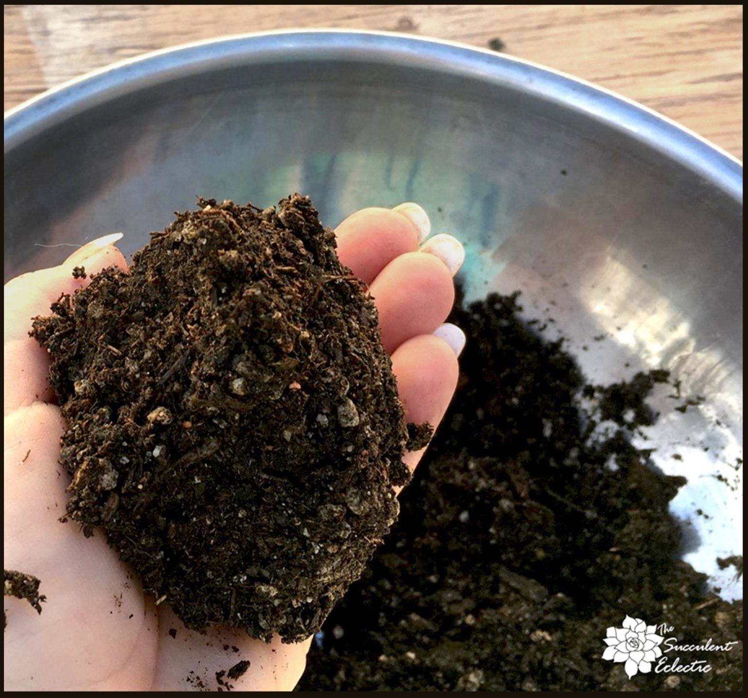 DIY Succulent Kokedama Balls! | The Succulent Eclectic