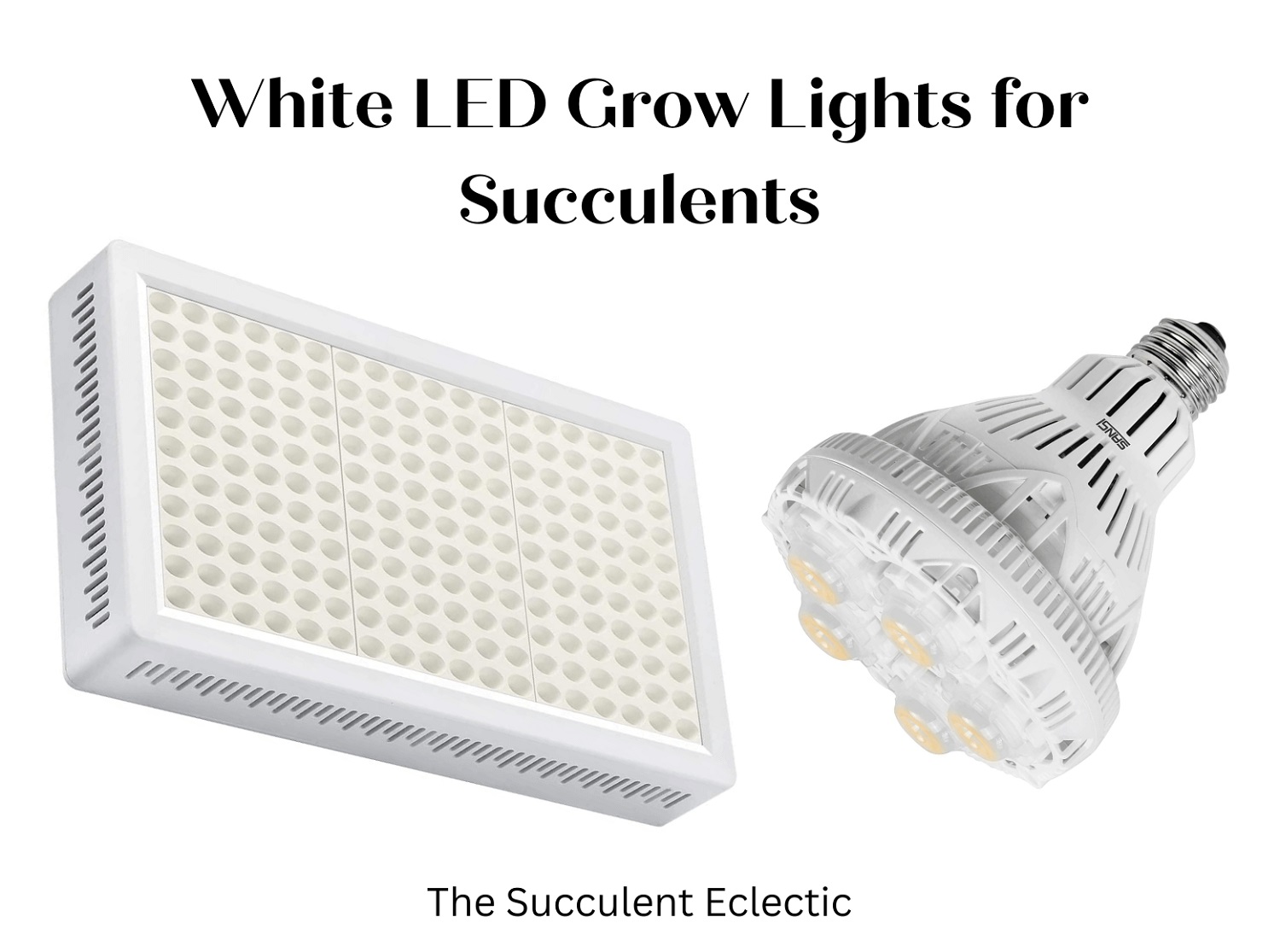 Grow Lights for Succulents | A Simple Guide | The Succulent Eclectic