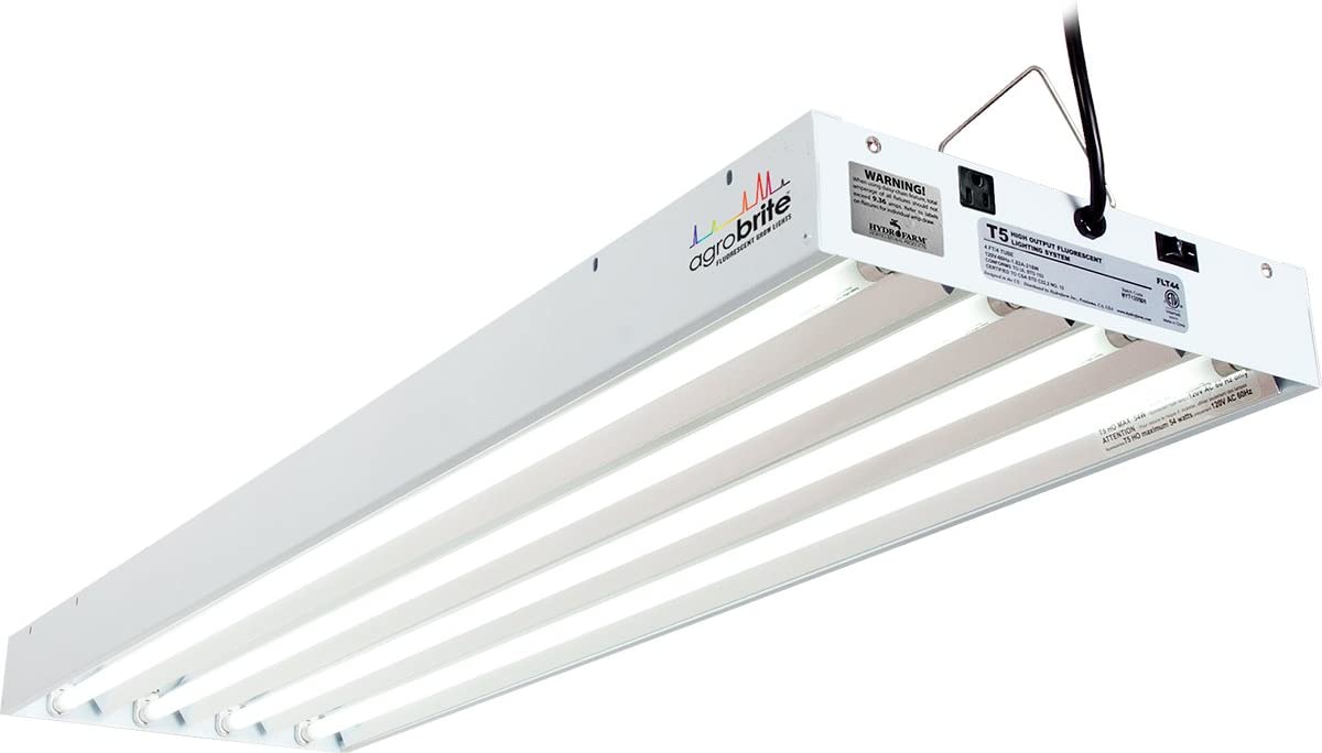 Grow Lights for Succulents | A Simple Guide | The Succulent Eclectic