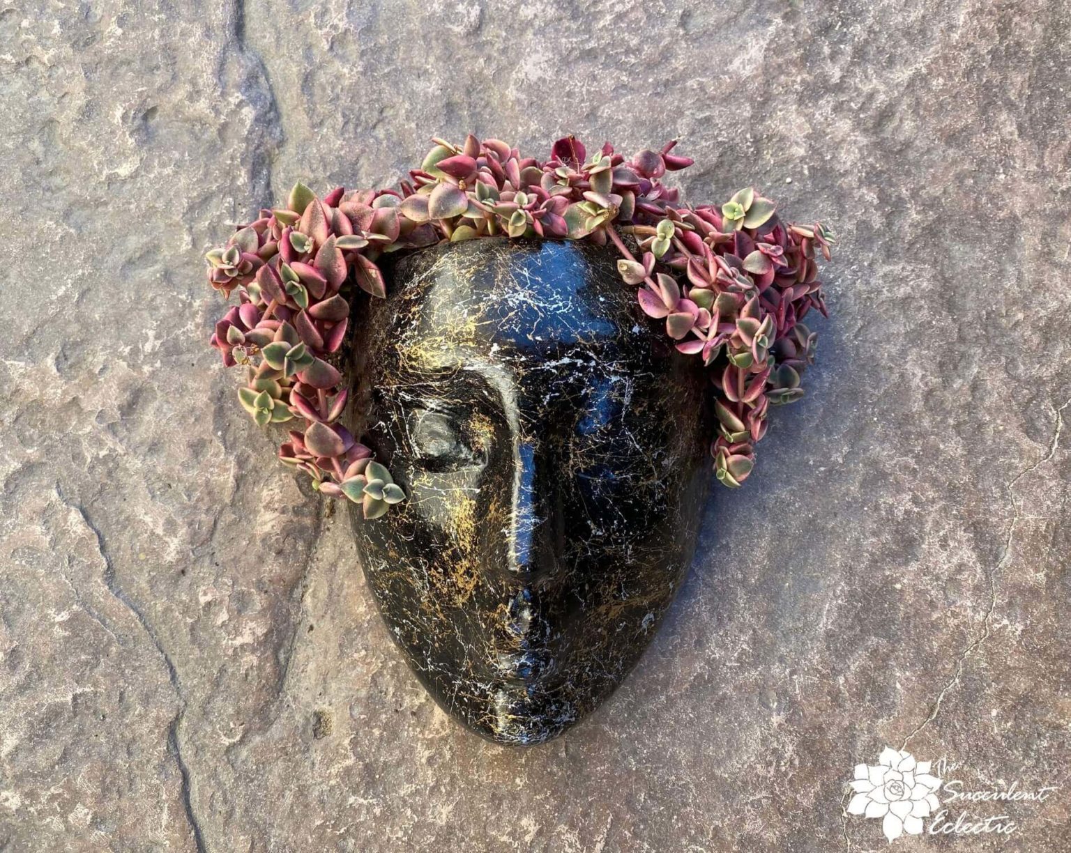 Planting Face Planters & Head Planters with Succulents! | The Succulent ...