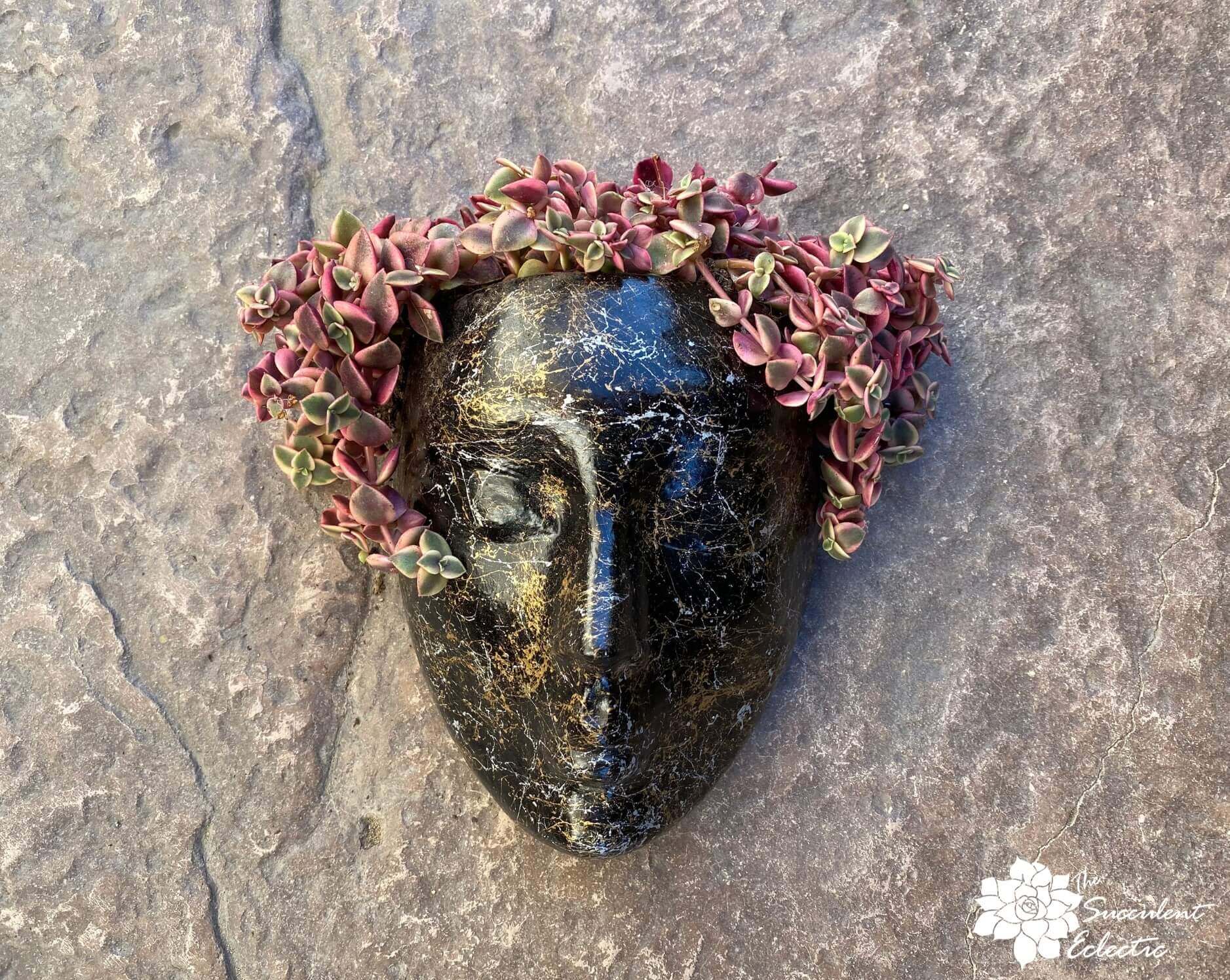 Planting Face Planters & Head Planters with Succulents! | The Succulent ...