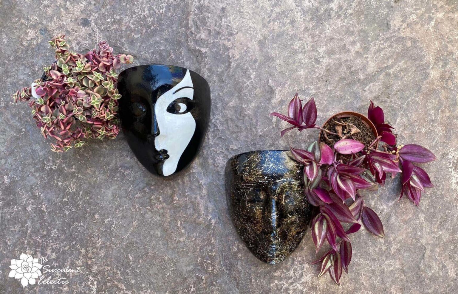 Planting Face Planters & Head Planters with Succulents! | The Succulent ...