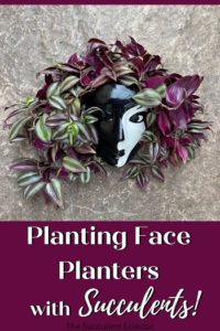 Planting Face Planters & Head Planters with Succulents! | The Succulent ...