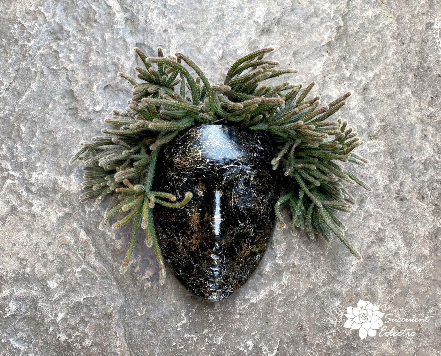 Planting Face Planters & Head Planters with Succulents! | The Succulent ...