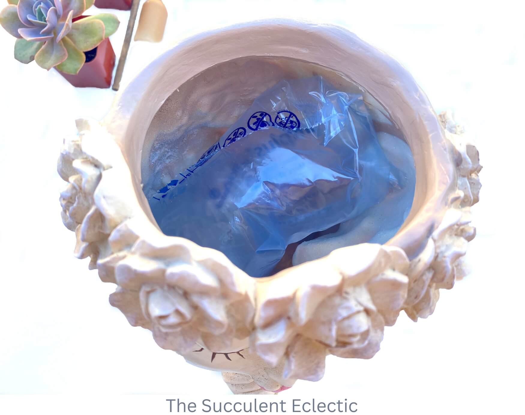 Planting Face Planters & Head Planters with Succulents! | The Succulent ...