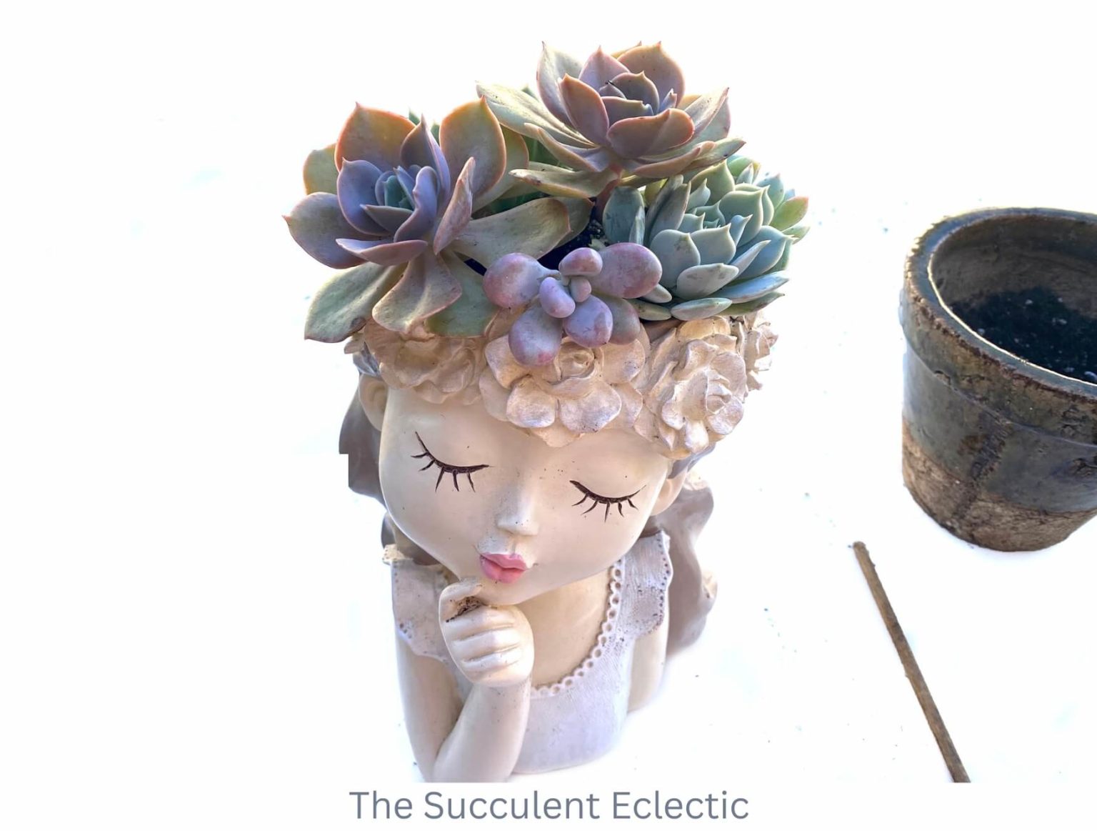Planting Face Planters & Head Planters with Succulents! | The Succulent ...