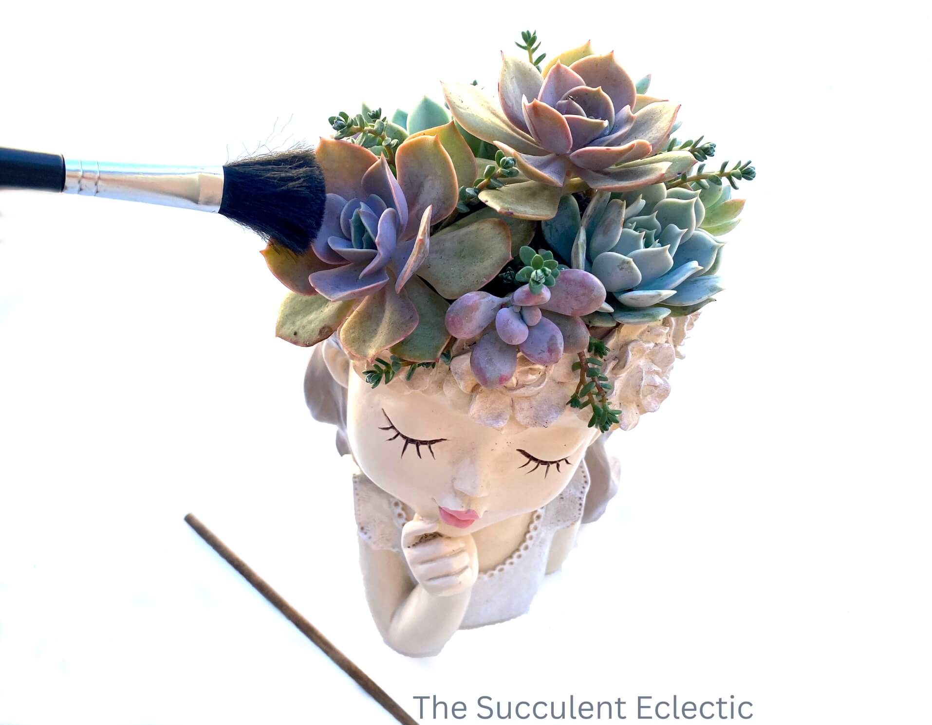 Planting Face Planters & Head Planters with Succulents! | The Succulent ...