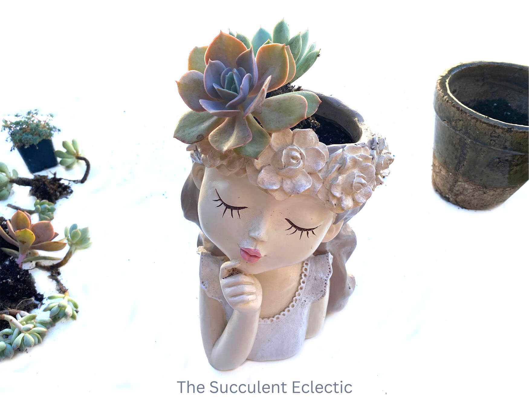 Planting Face Planters & Head Planters with Succulents! | The Succulent ...