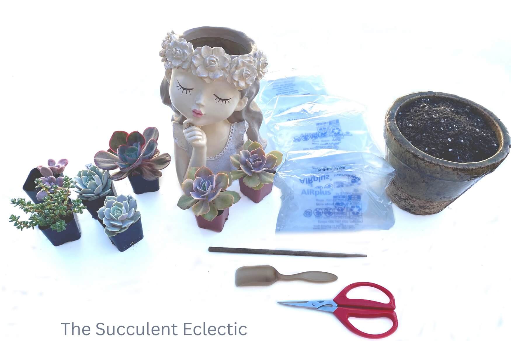 Planting Face Planters & Head Planters with Succulents! | The Succulent ...