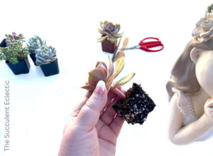 Planting Face Planters & Head Planters with Succulents! | The Succulent ...