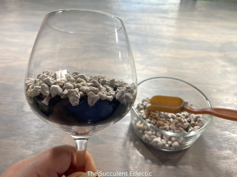 DIY Succulent Wine Glass ~ 2 Versions: Glamorous & Rustic! | The ...