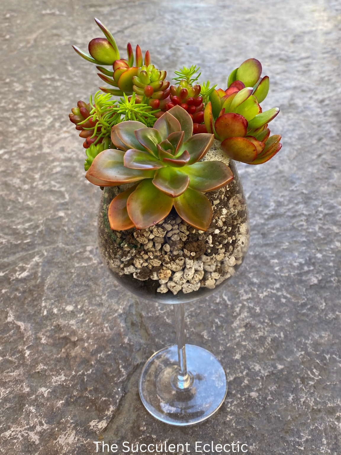 DIY Succulent Wine Glass ~ 2 Versions: Glamorous & Rustic! | The ...