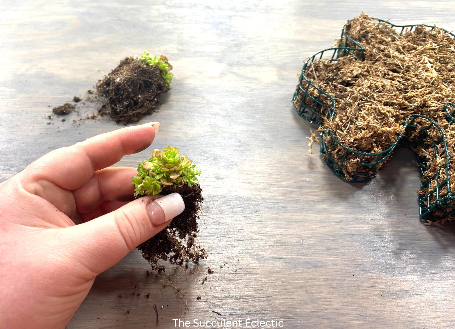 DIY Shamrock Planter + How to Make Any Shape Wire Planter! | The ...