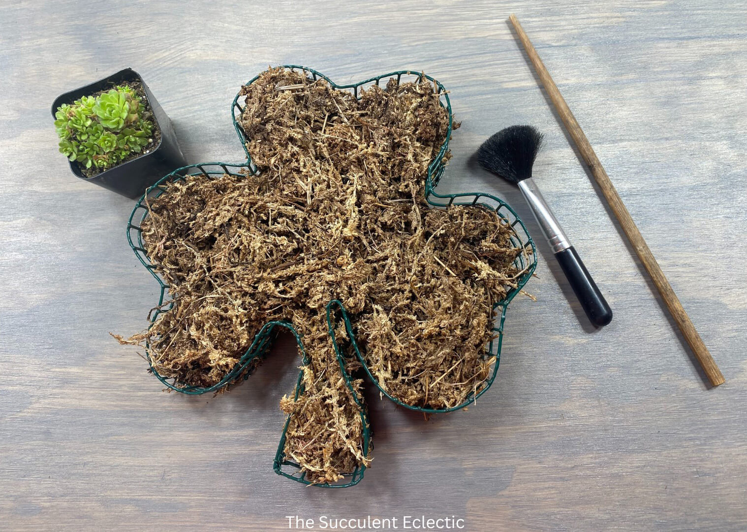 DIY Shamrock Planter + How to Make Any Shape Wire Planter! | The ...