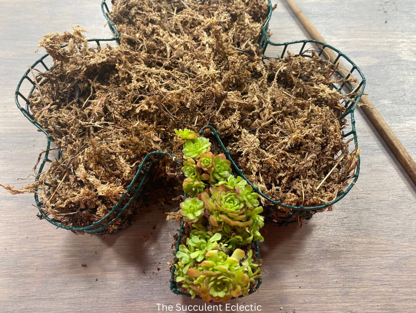 DIY Shamrock Planter + How to Make Any Shape Wire Planter! | The ...